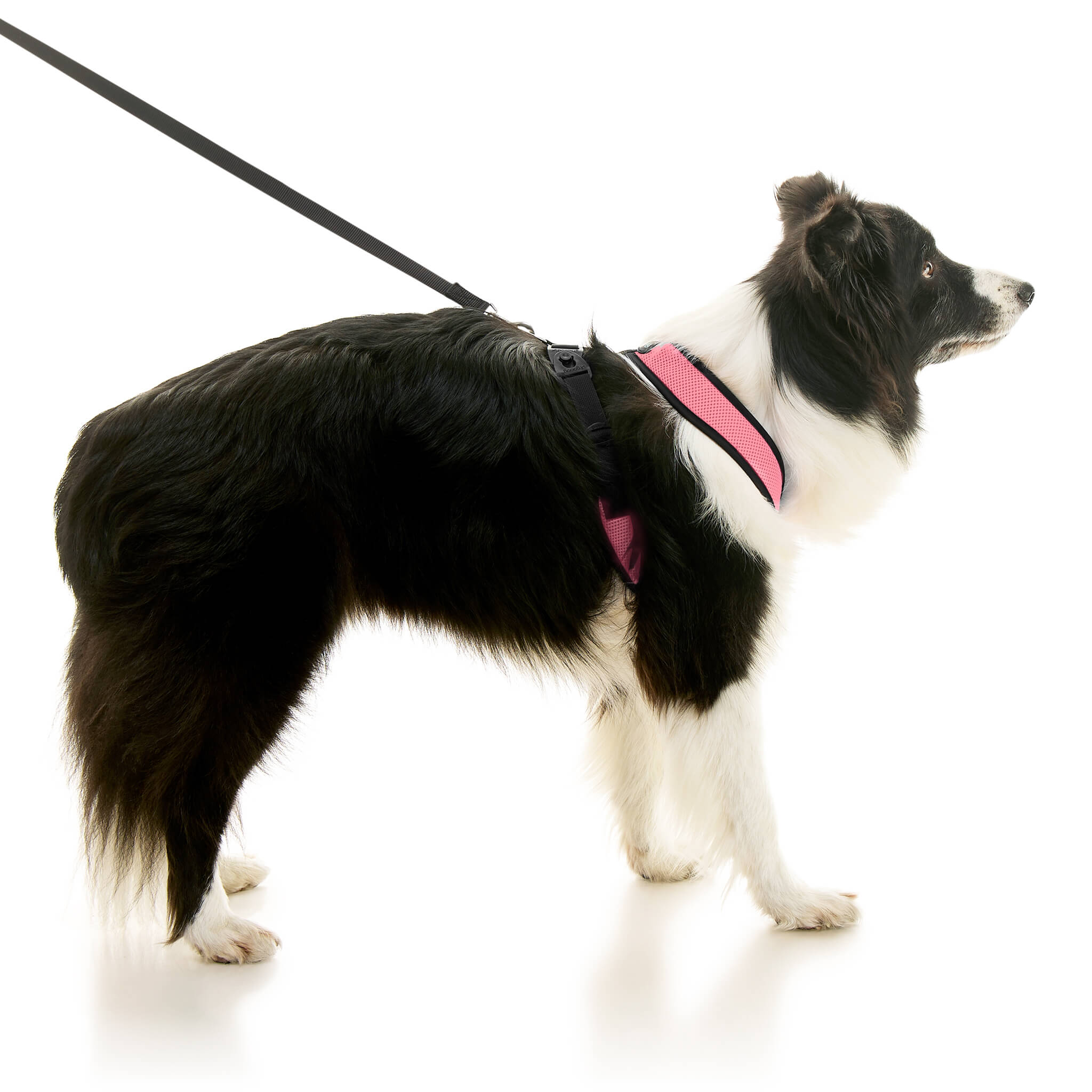 Comfort X Dual Snap Mesh – Gooby