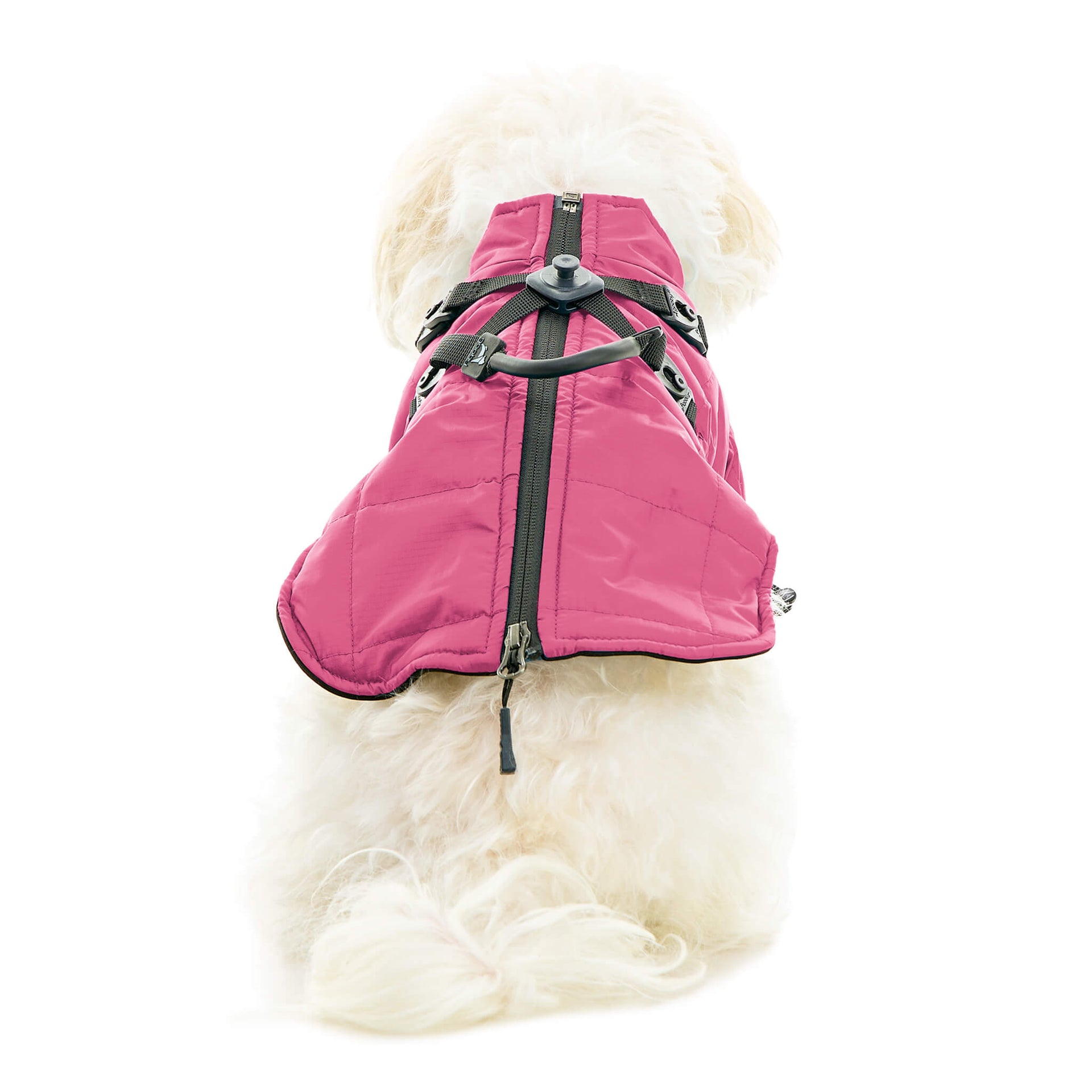 Alpine Explorer – Gooby