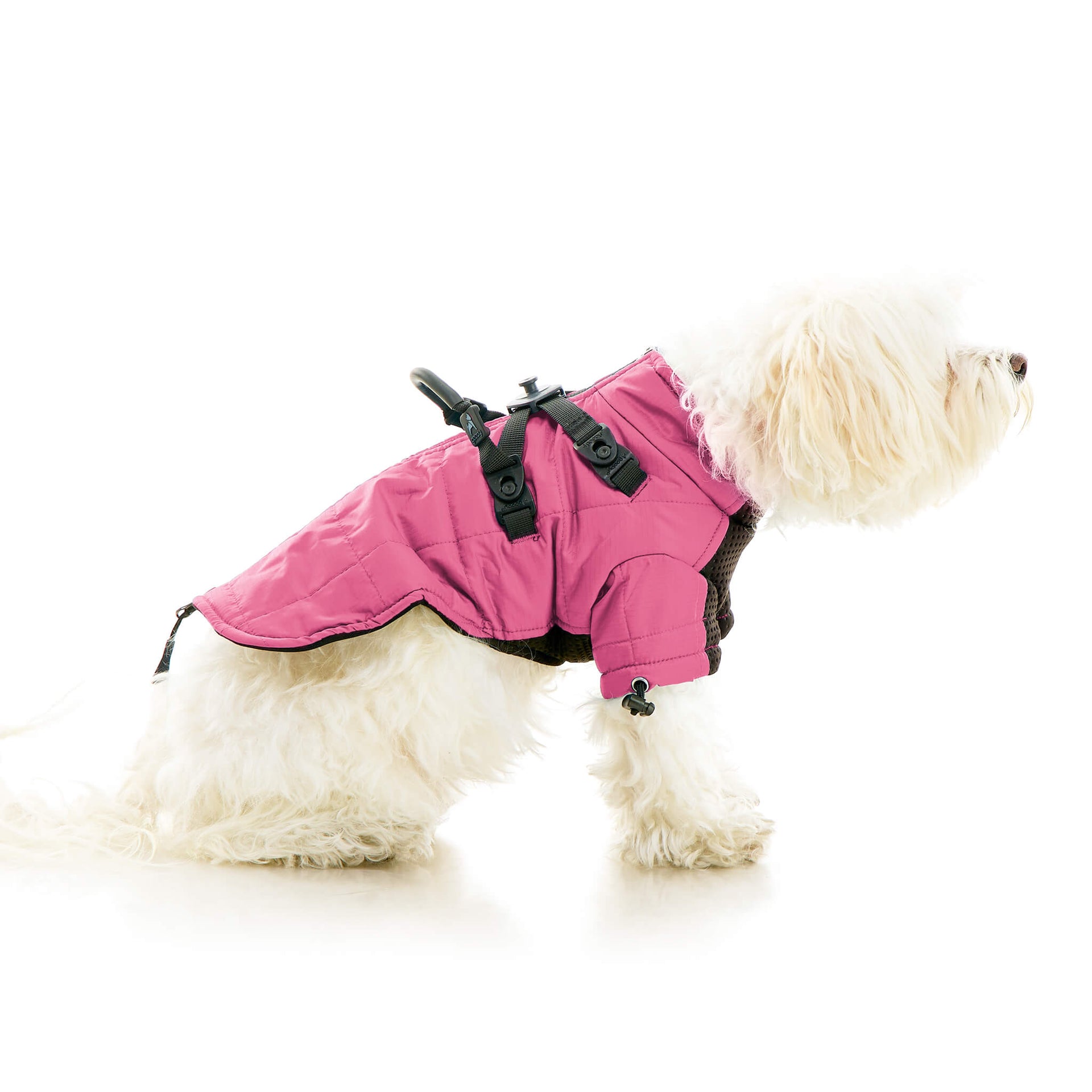 Alpine Explorer – Gooby