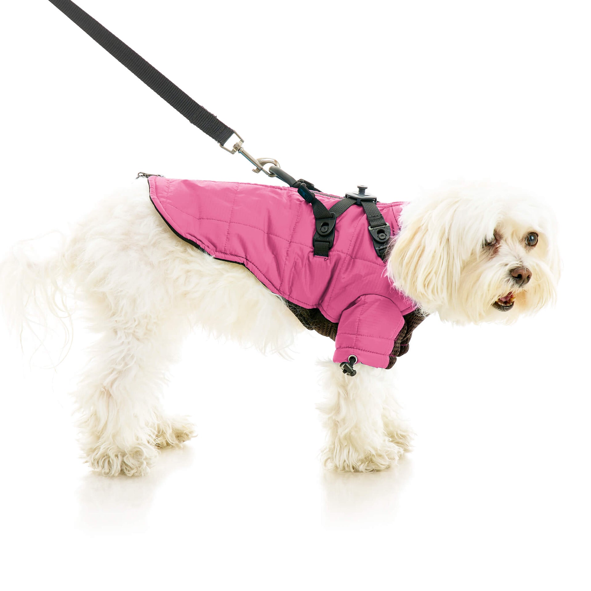 Alpine Explorer – Gooby